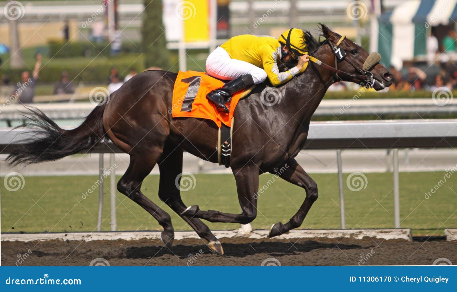 Color of Courage Wins an Allowance Race Editorial Image - Image of ...