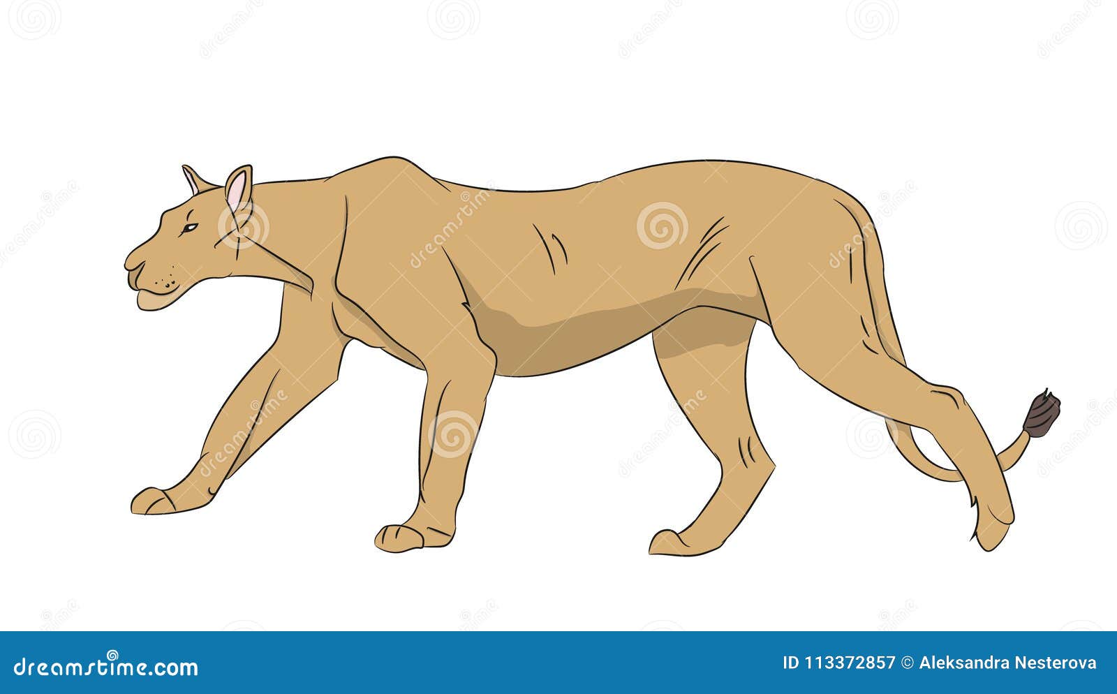 Color de la leona, vector ilustración del vector. Ilustración de gato ...