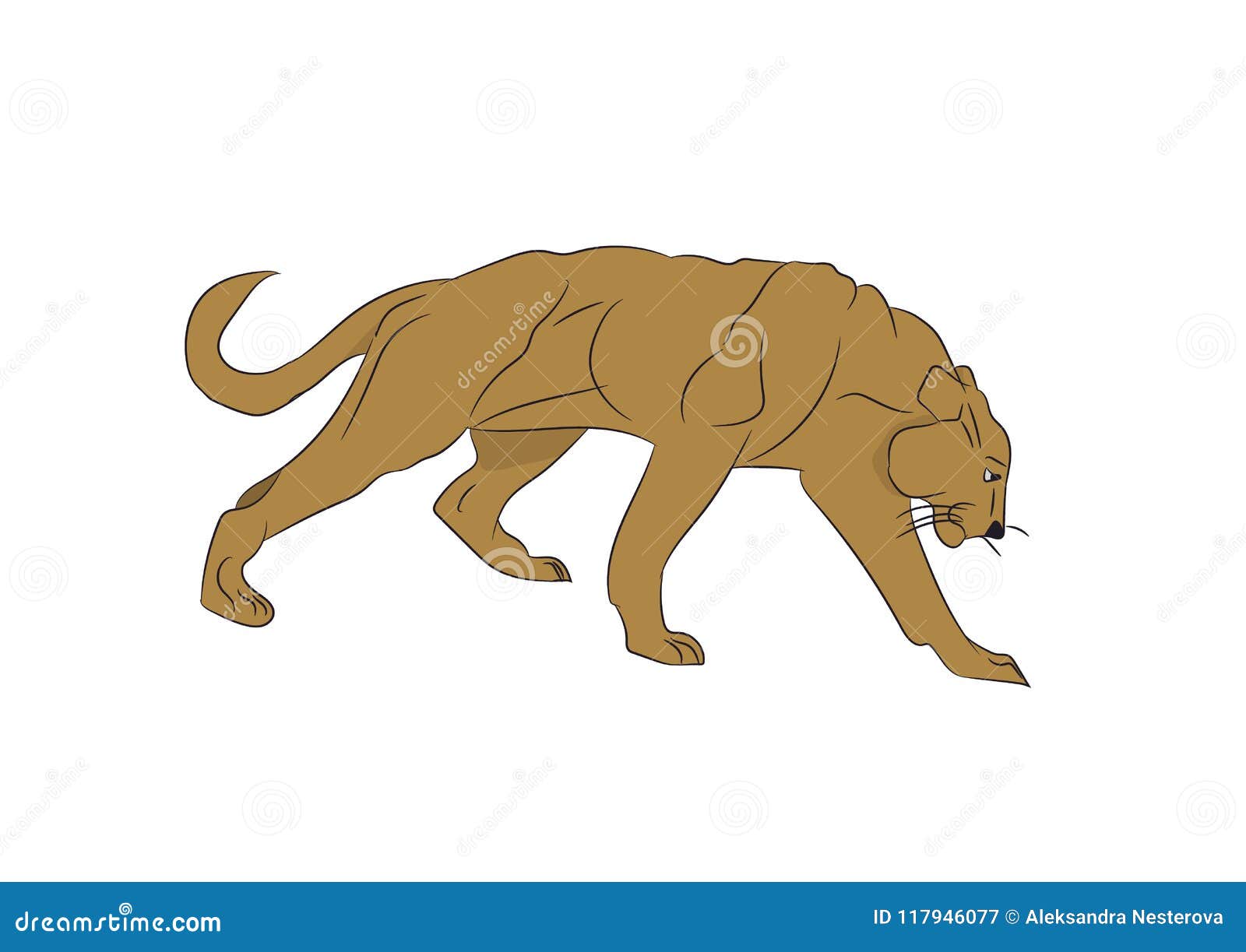 Color de la leona, vector ilustración del vector. Ilustración de ...