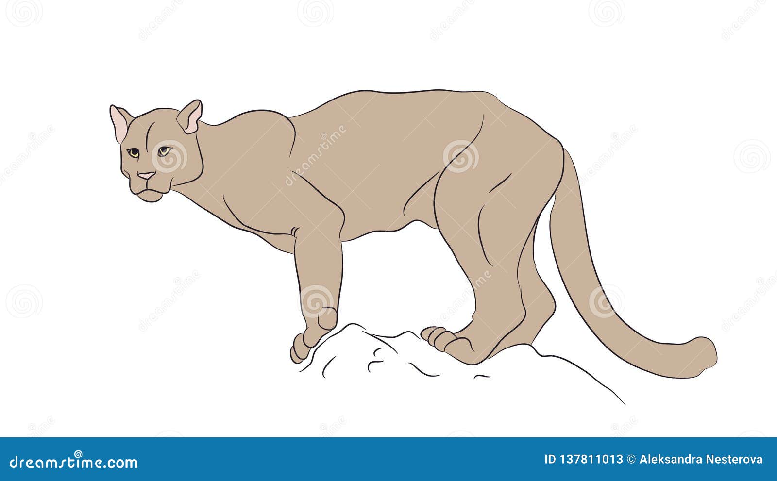 Color de la leona, vector ilustración del vector. Ilustración de ...