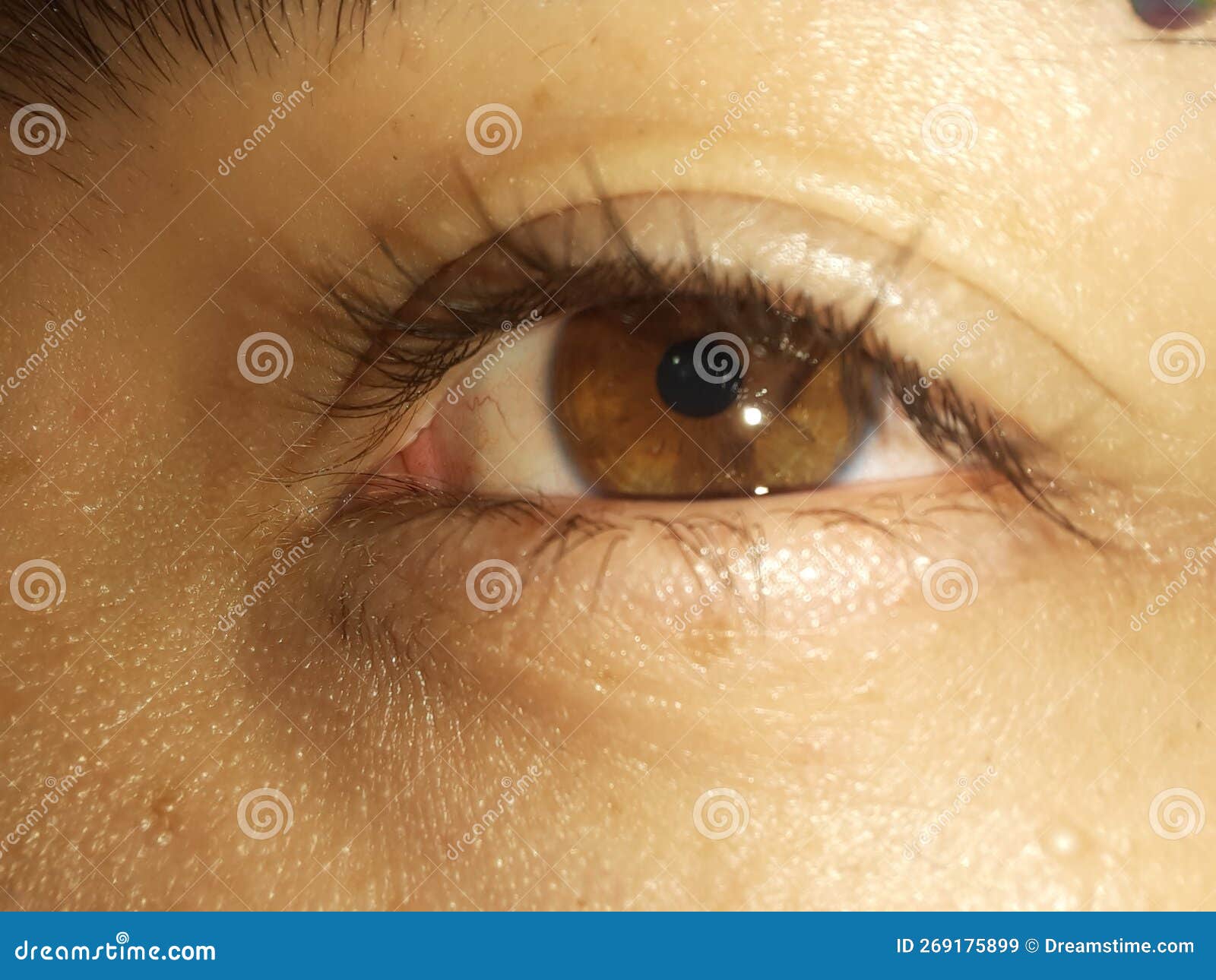 Color de miel de ojos imagen de archivo. Imagen de miel - 269175899