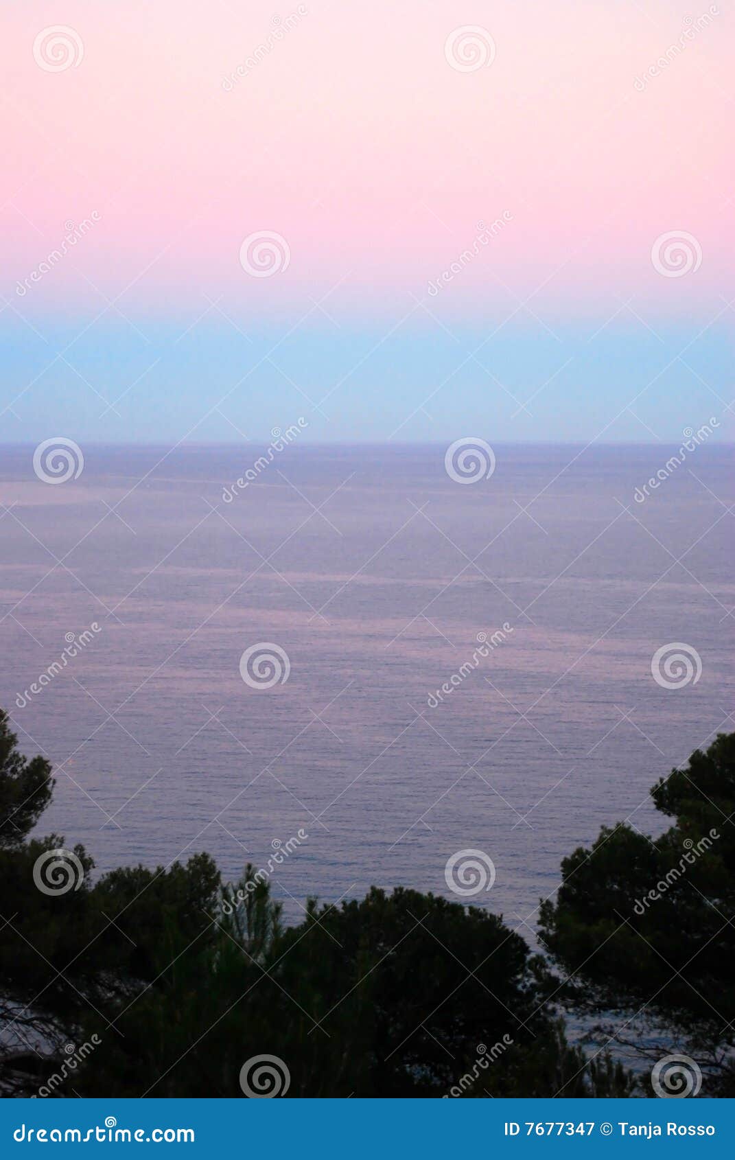 Color de rosa en el mar imagen de archivo. Imagen de italia - 7677347