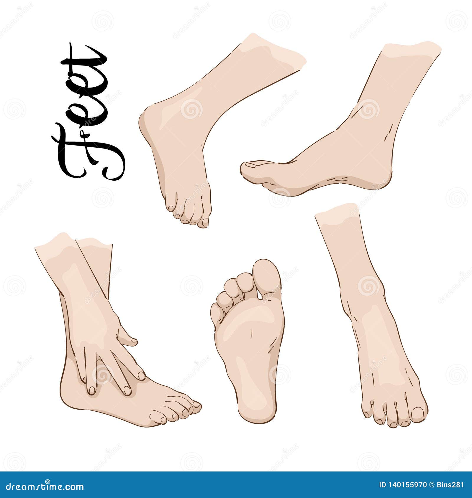 Color drawing of feet stock vector. Illustration of finger - 140155970