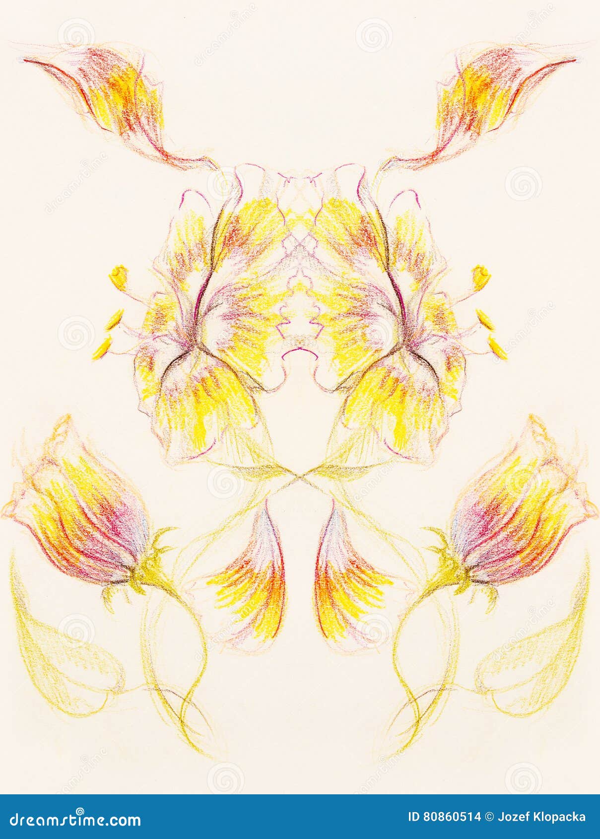 Color Drawing Flower. Original Hand Draw on Paper. Stock Illustration ...