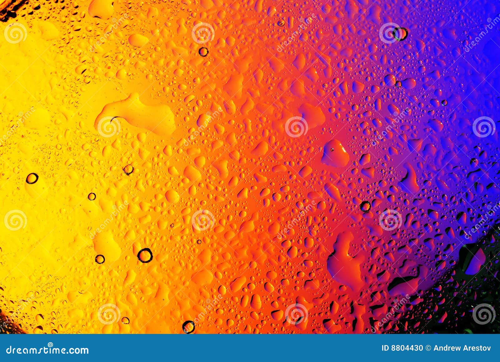 Color drops stock photo. Image of design, macro, clear - 8804430