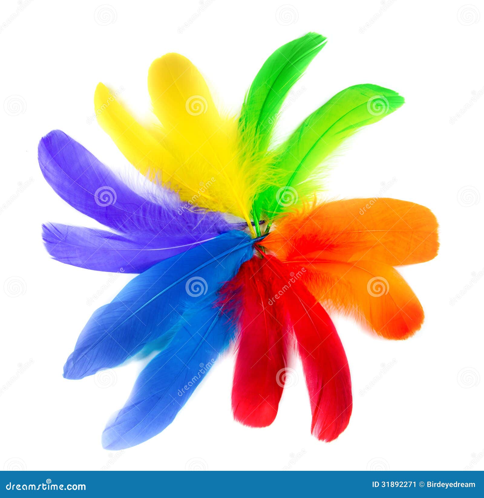 Color feather stock image. Image of colorful, bird, multicolored - 31892271