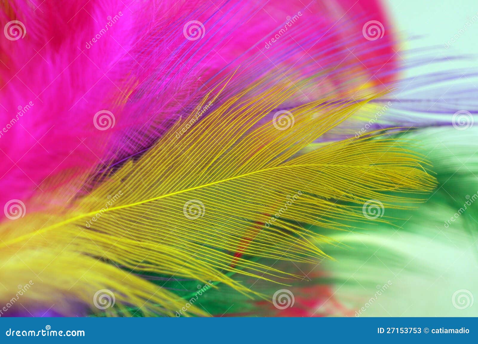Color feathers stock image. Image of soft, feathering - 27153753