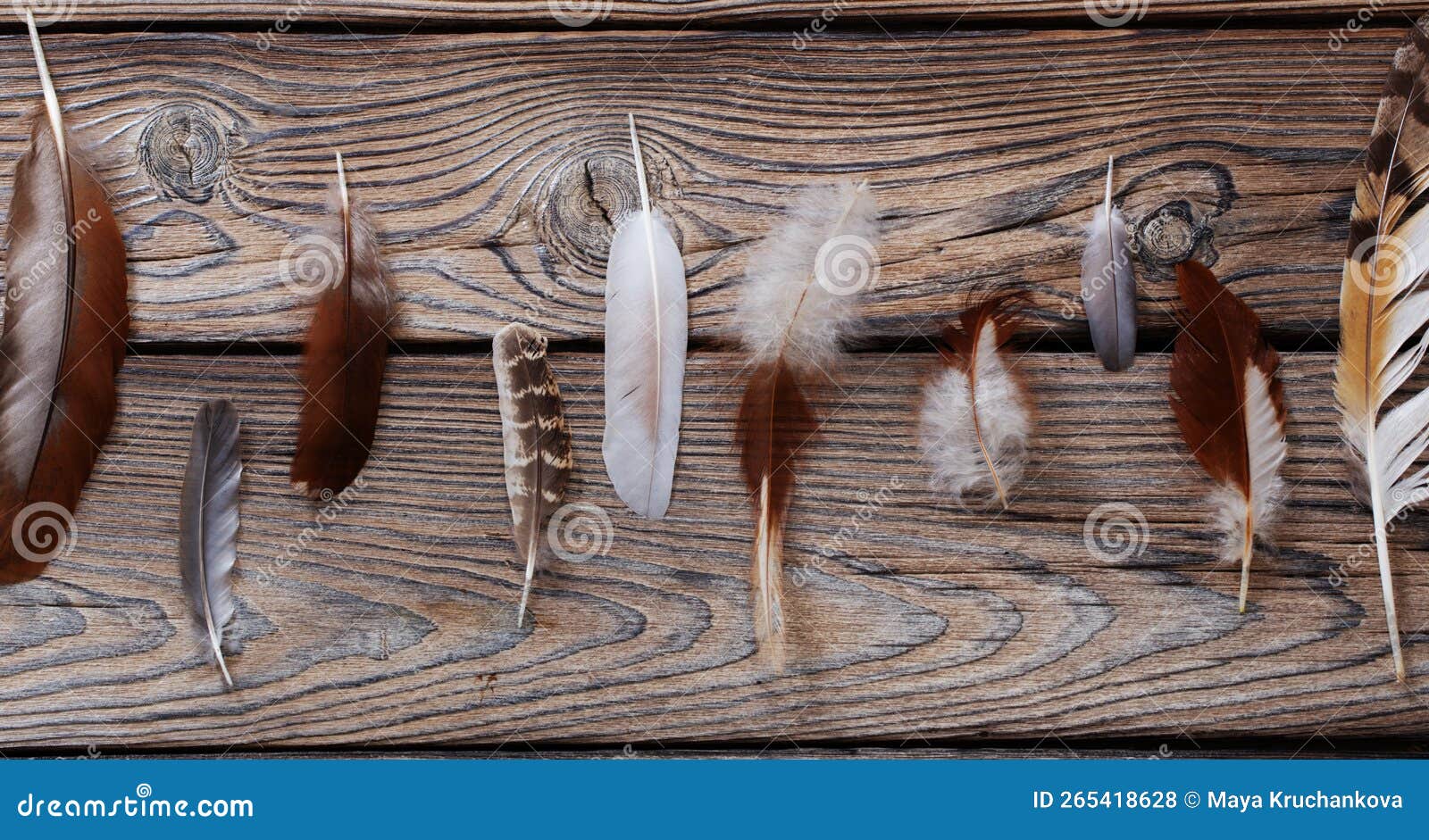 Color Feathers on Old Wooden Background Stock Photo - Image of feathers ...