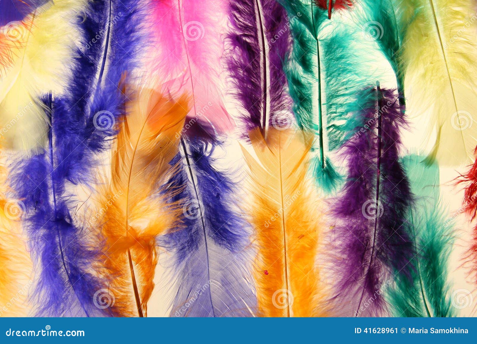 Color feathers stock image. Image of abstract, blue, feathers - 41628961