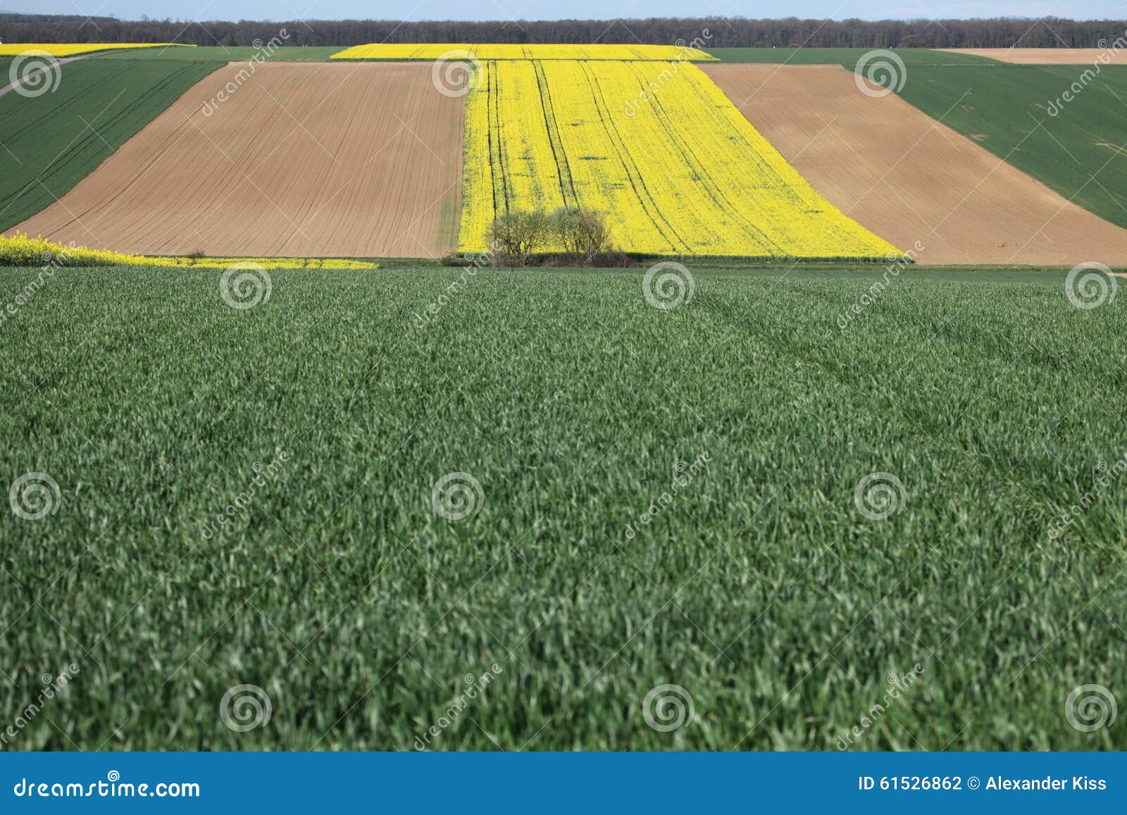 Color&fields stock photo. Image of color, great, tourism - 61526862