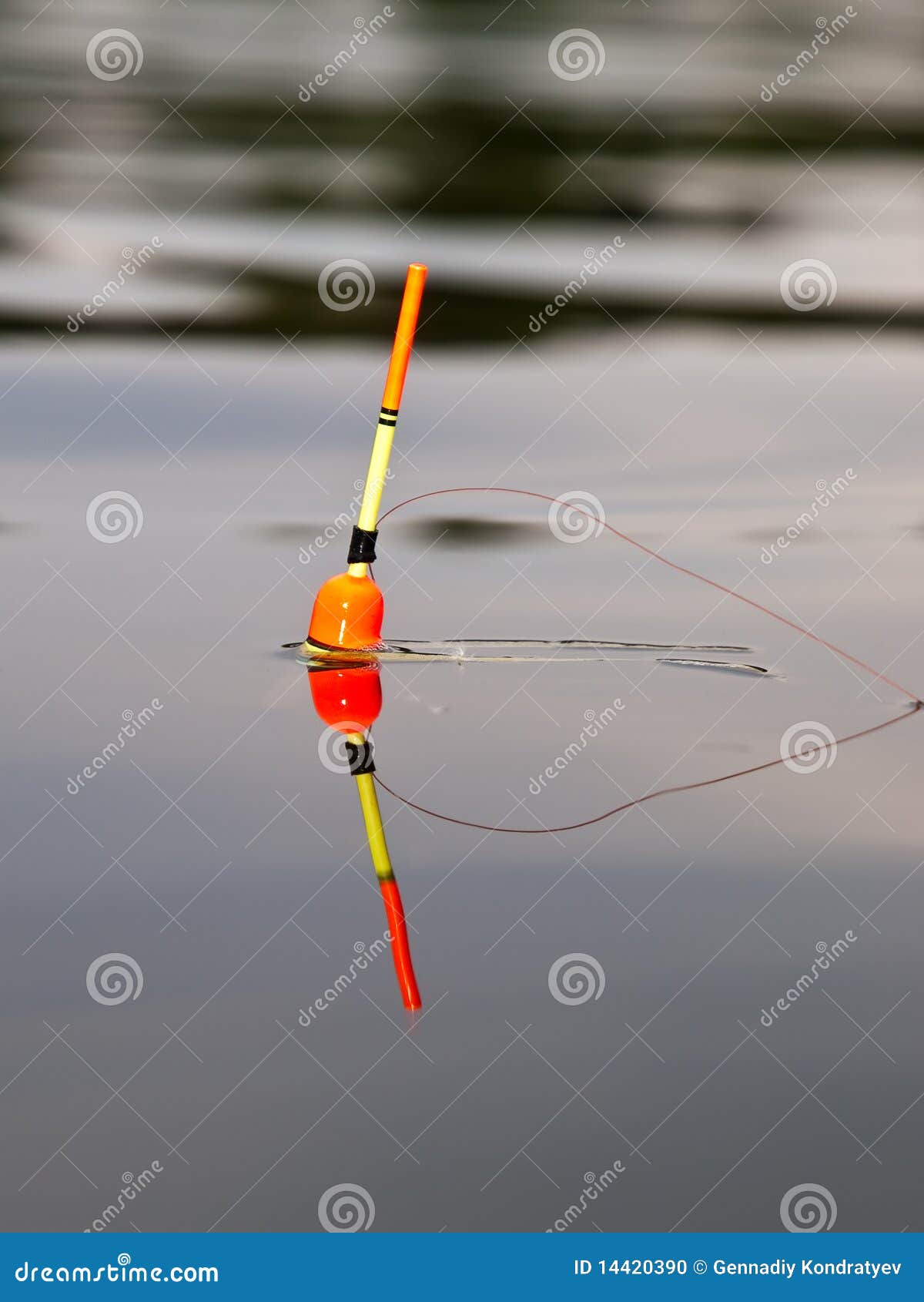 Color float in a water stock photo. Image of recreation - 14420390