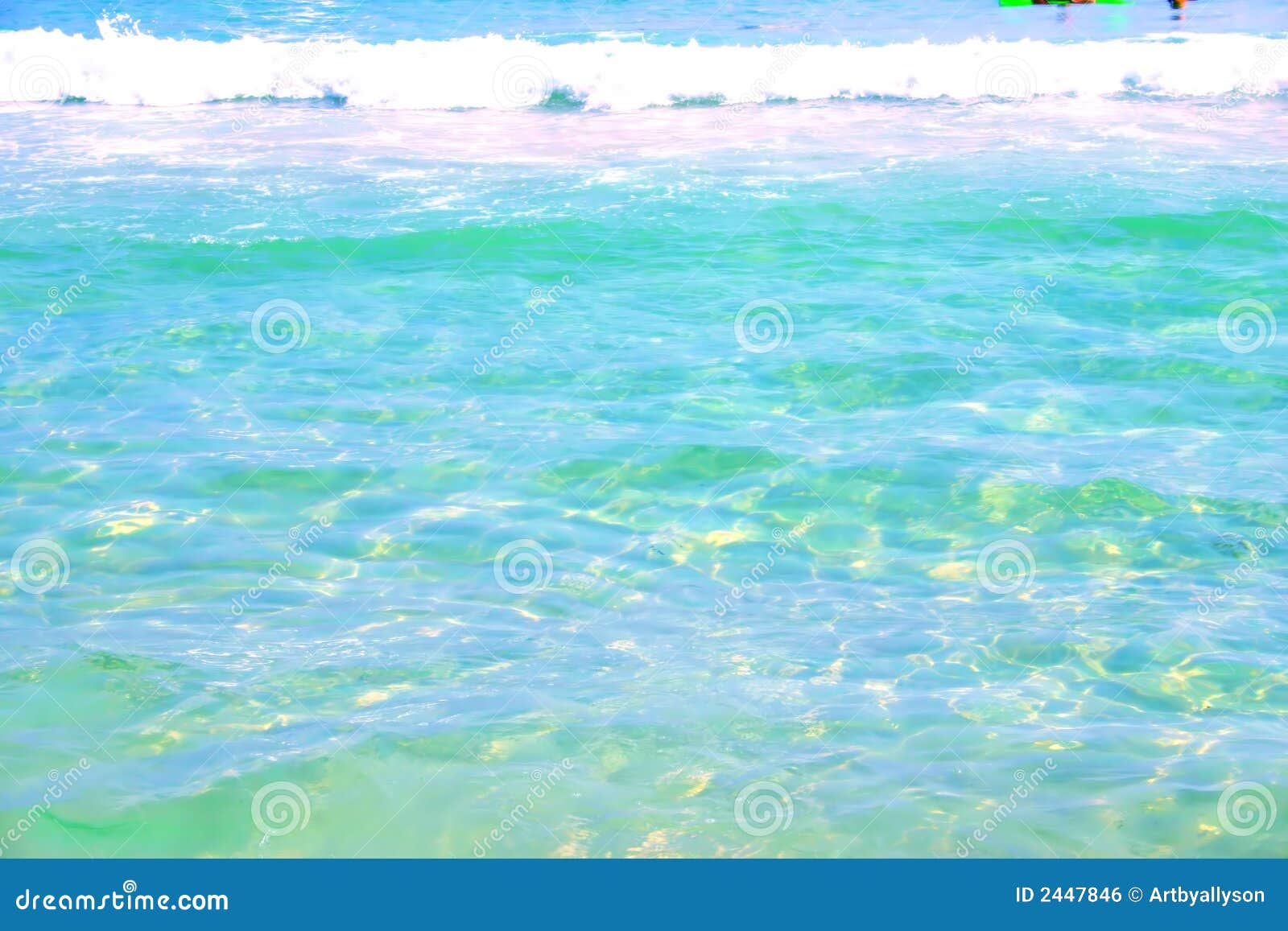 Color of Florida stock photo. Image of florida, green - 2447846