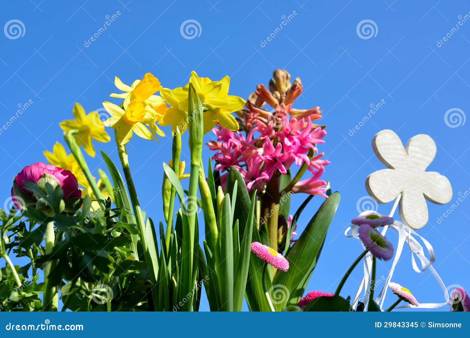 Flowers spring blue sky stock image. Image of scented - 29843345