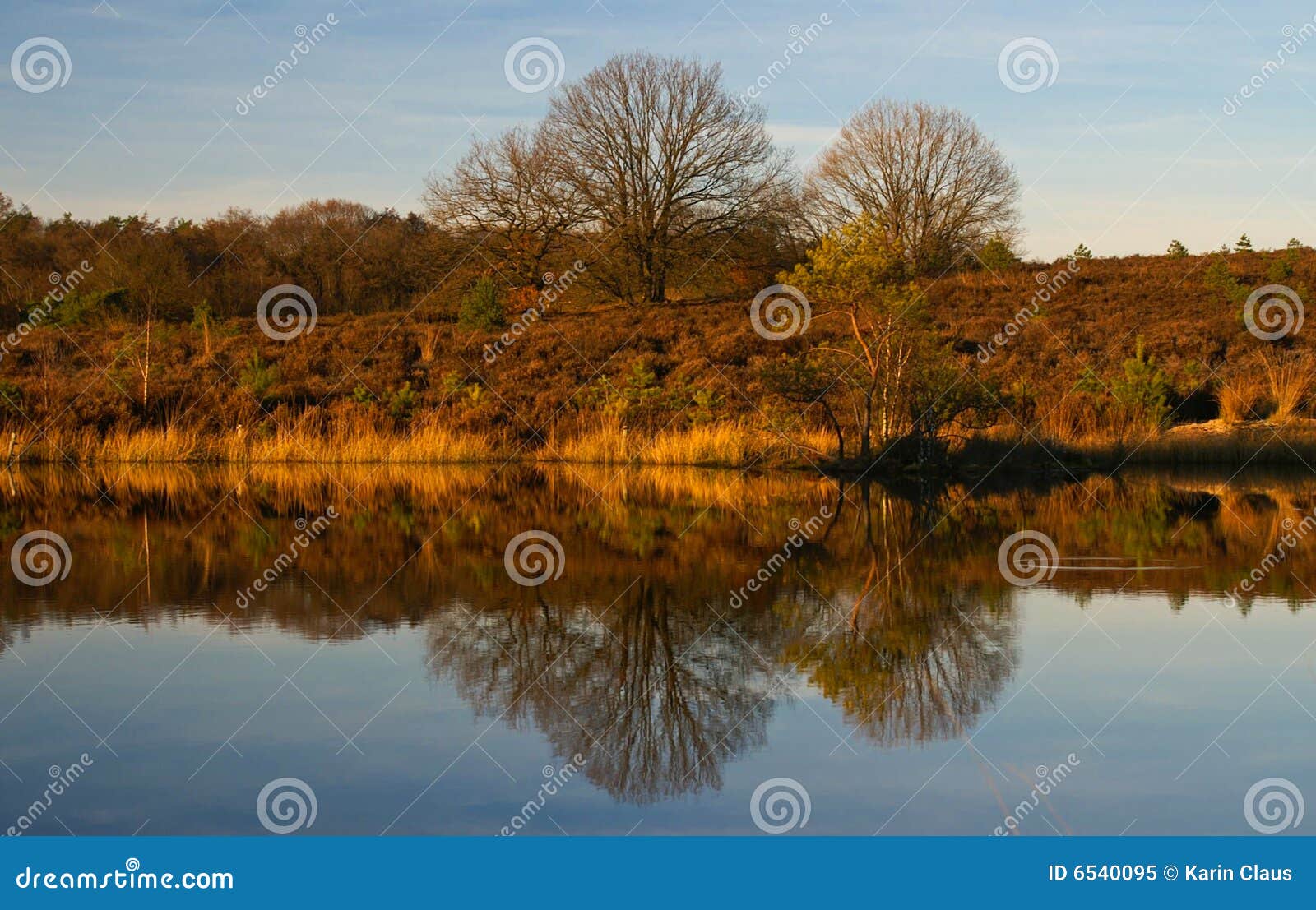 Color Full Autumn Scene in the Late Afternoon Wit Stock Image - Image ...