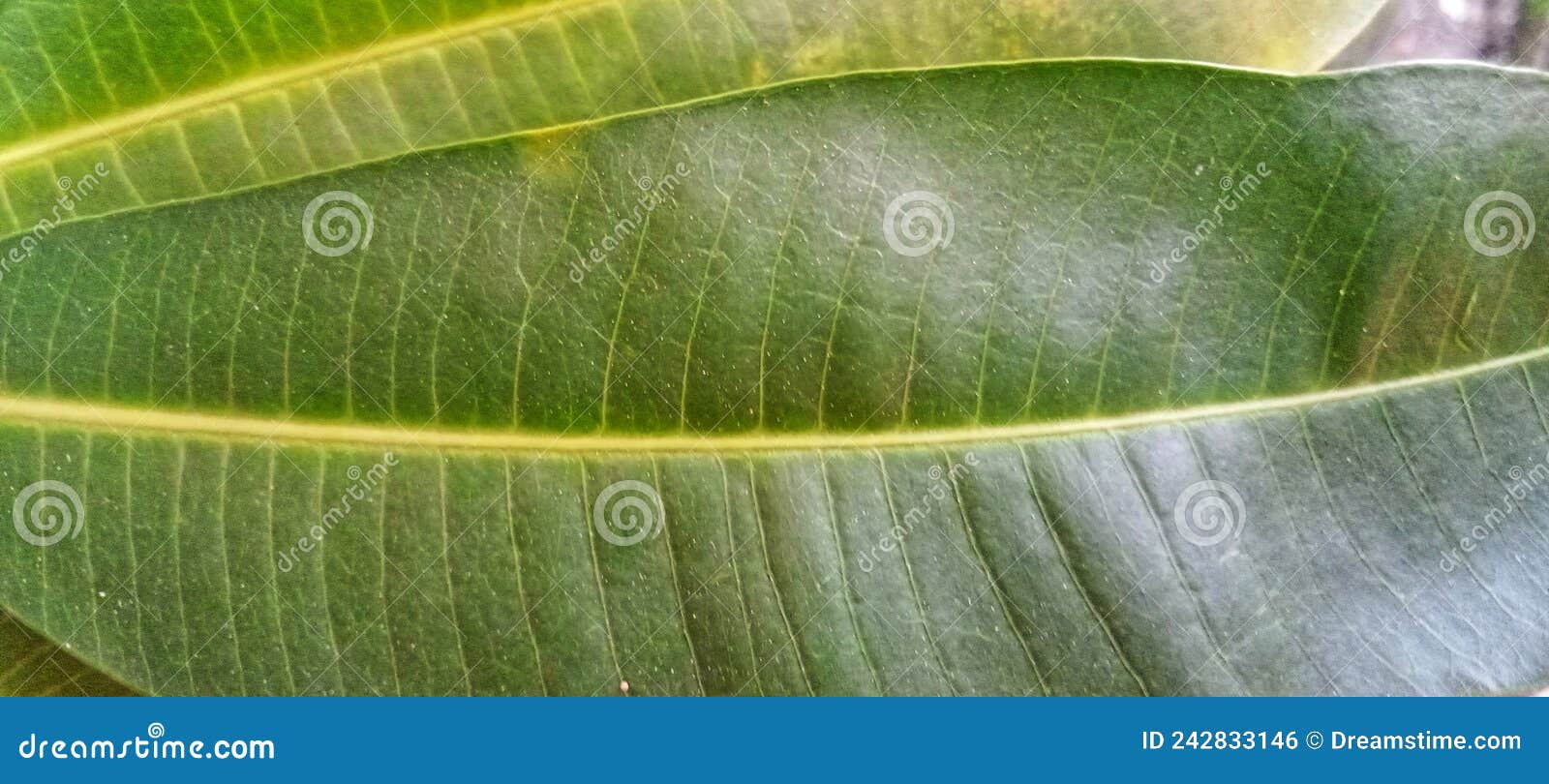 Color full back ground stock photo. Image of full, frame - 242833146