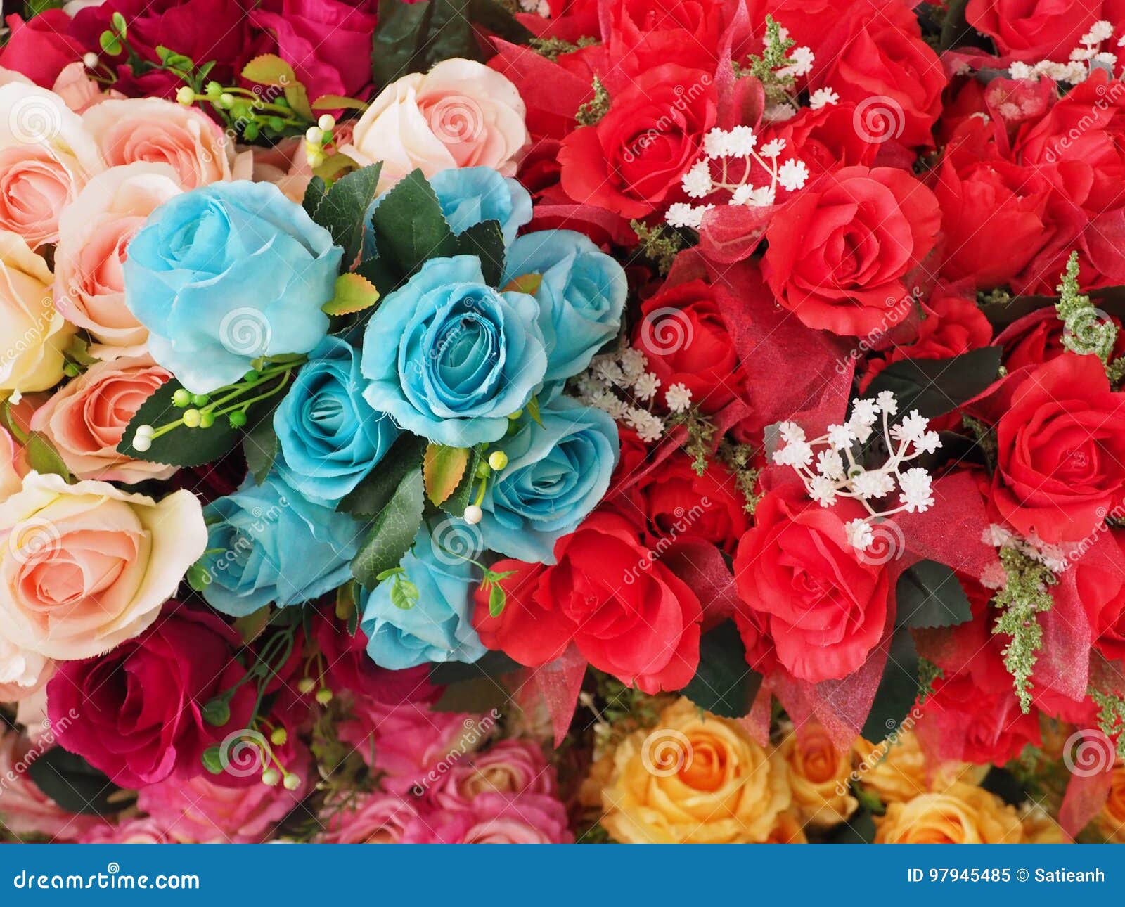 The Color Full of Flower Blooms Stock Image - Image of spring, green ...