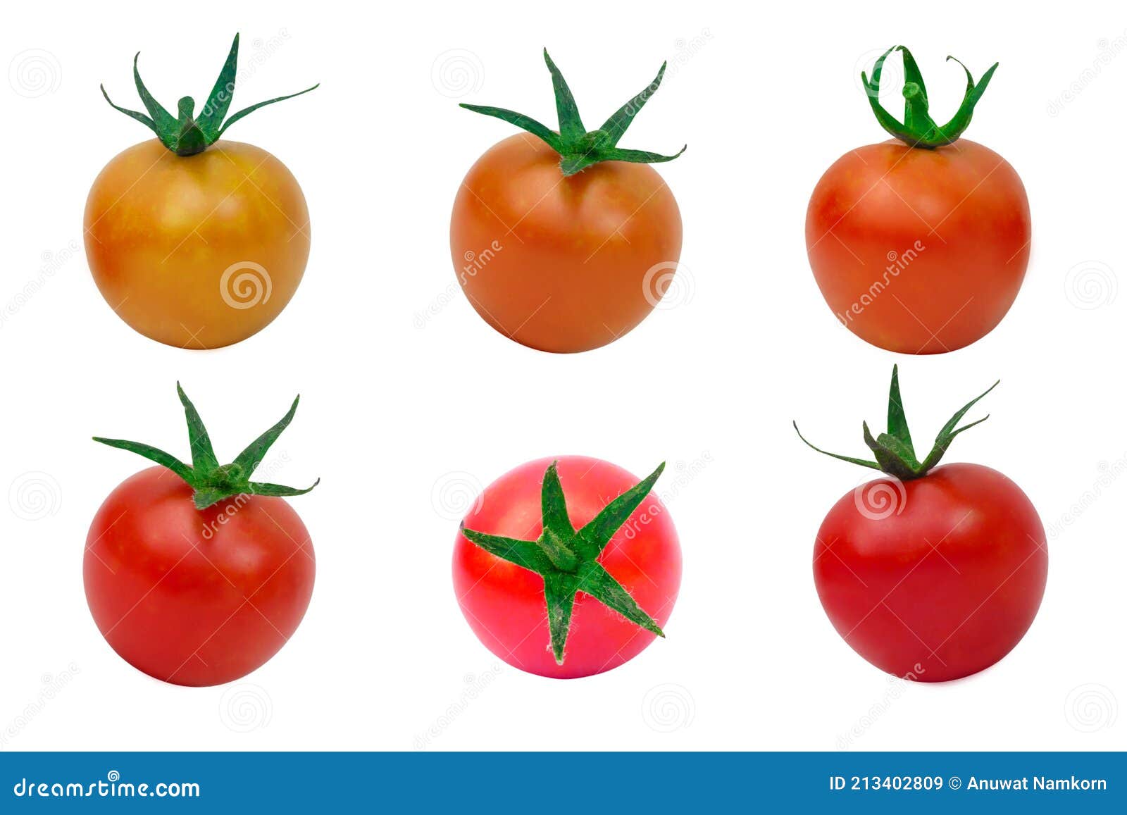 Color Gradiente Tomate Sobre Fondo Blanco Imagen de archivo - Imagen de ...