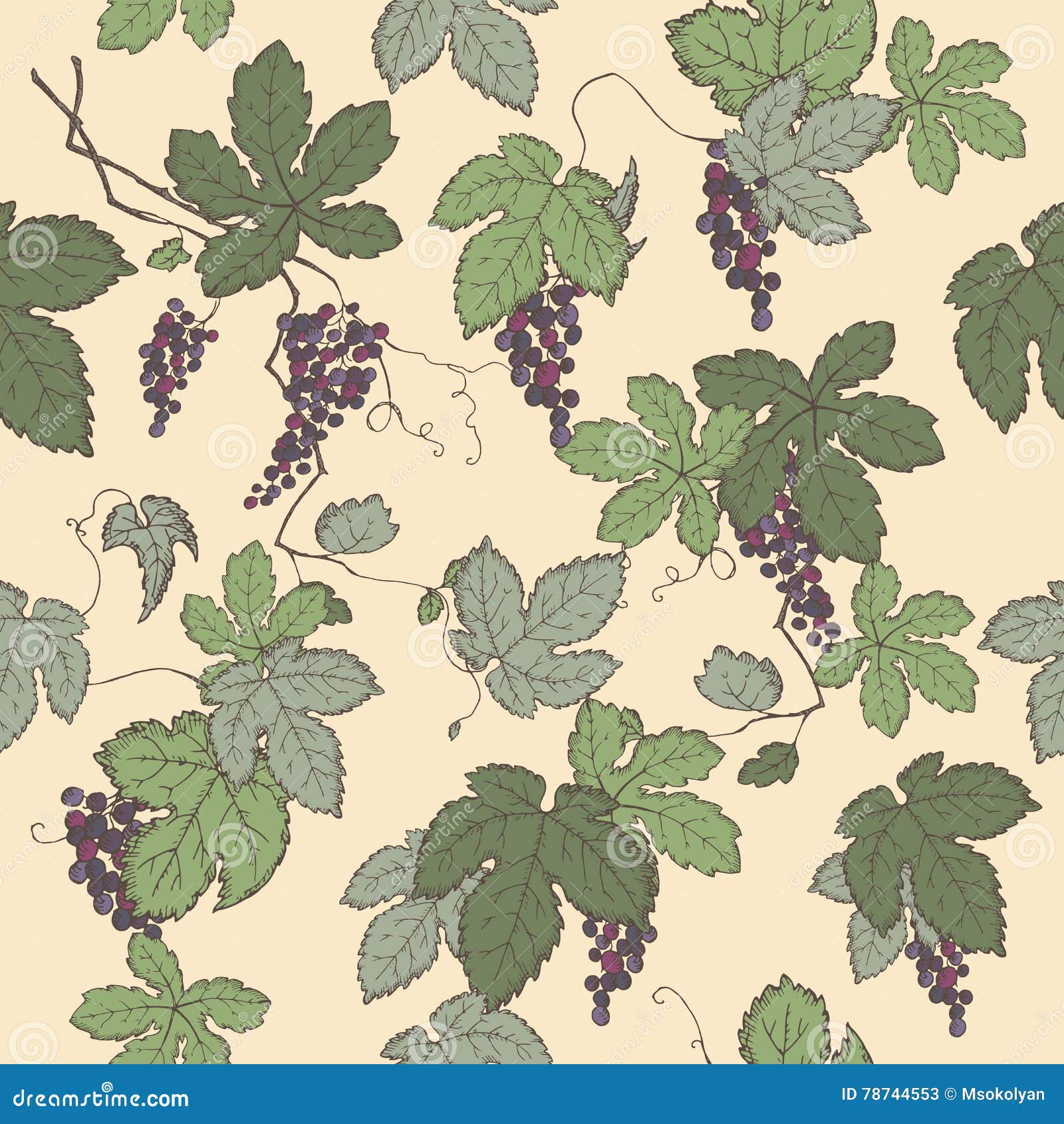 Color Grapevine Seamless Pattern Based on Hand Drawn Sketch. Stock ...