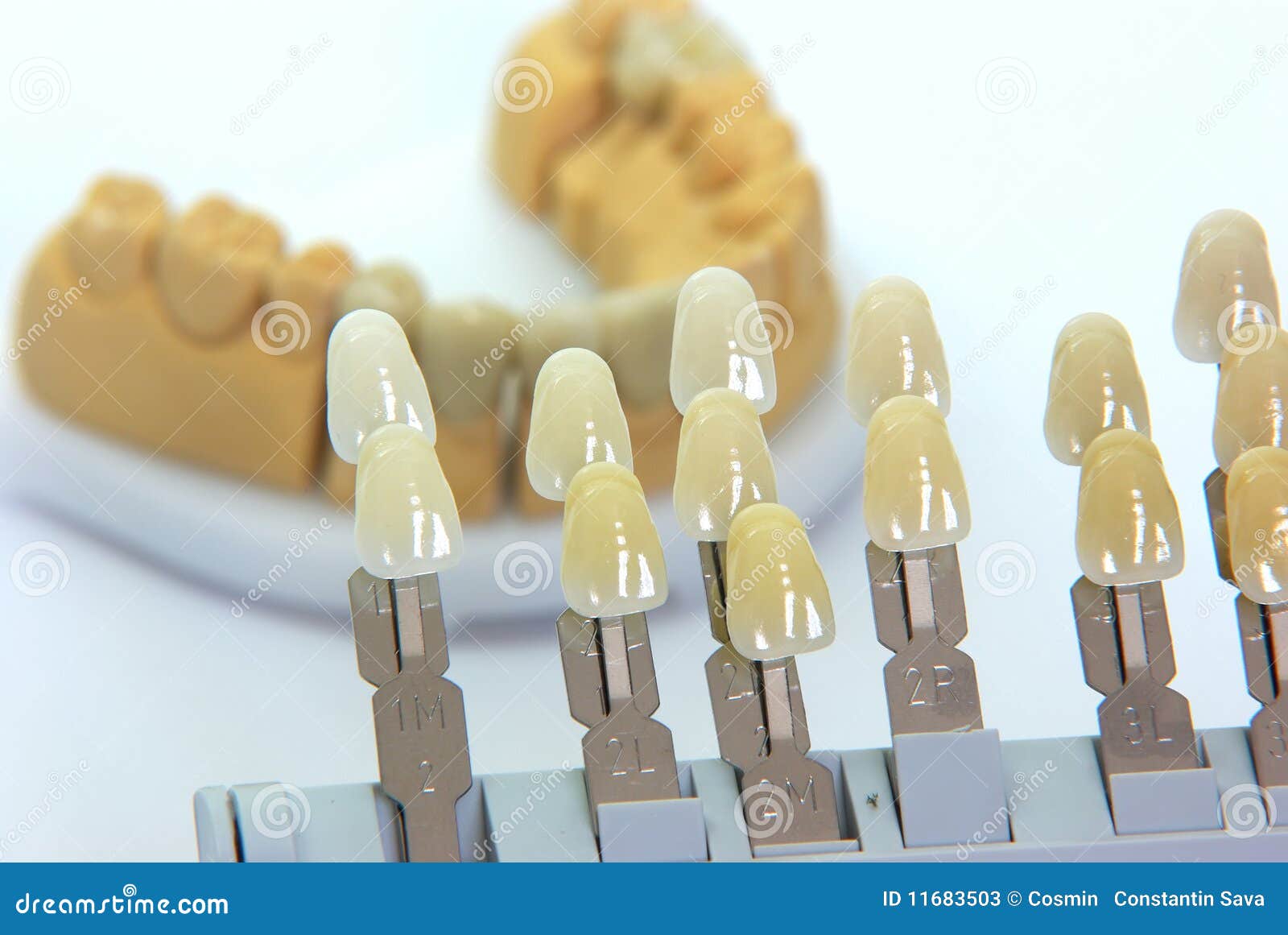 Color Guide with Porcelain Teeth Behind Stock Image - Image of health ...