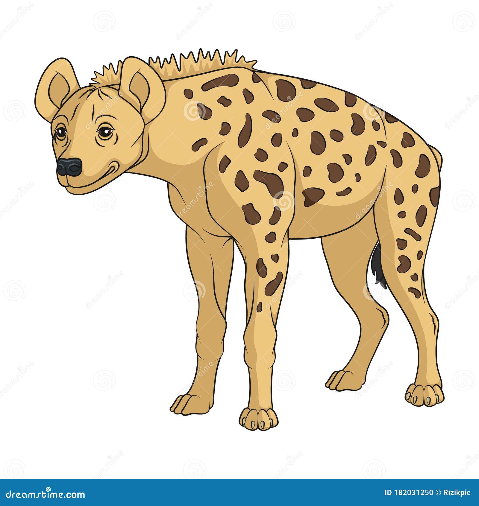 African Spotted Hyena Map Illustration Cartoon Vector | CartoonDealer ...