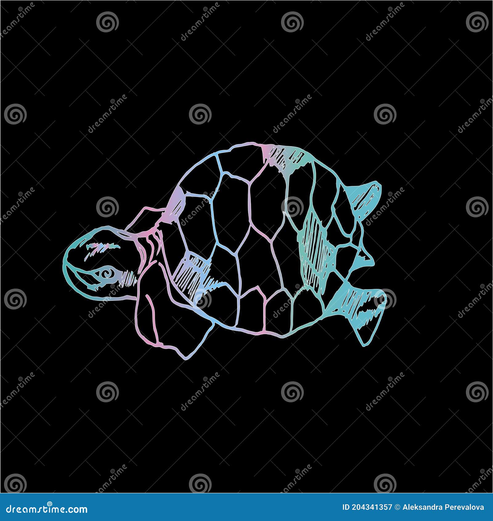 Trippy Turtle Drawings