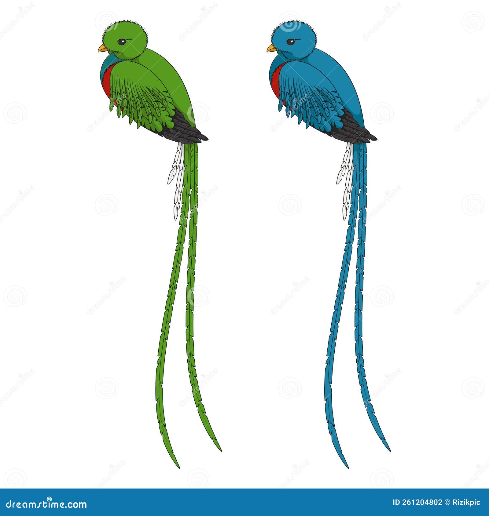 Shadow Of Quetzal Bird Cartoon Vector | CartoonDealer.com #202662343