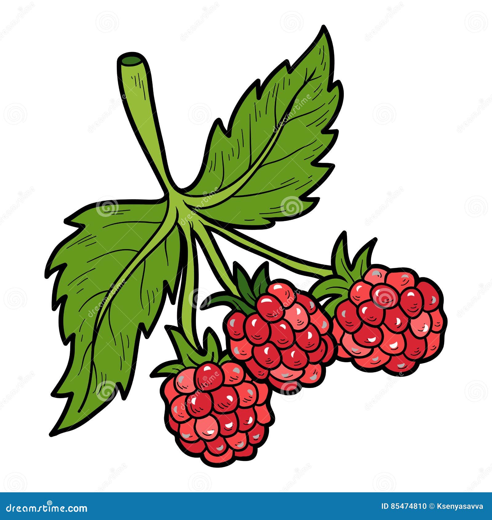 Color Image, Cartoon Berry, Raspberry Stock Vector - Illustration of ...
