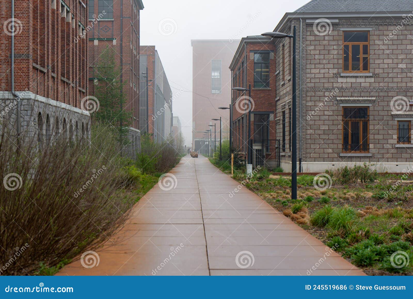 Color Image of a Walking Path between Buildings Stock Photo - Image of ...