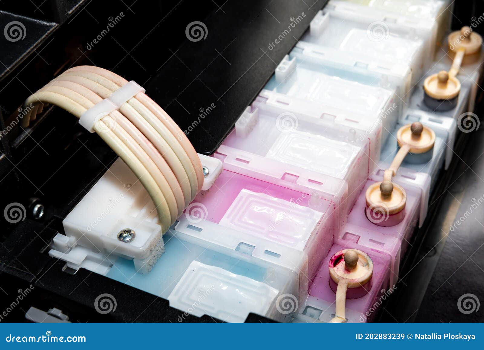 Color Ink Cartridges in an Inkjet Printer Stock Image - Image of blue ...