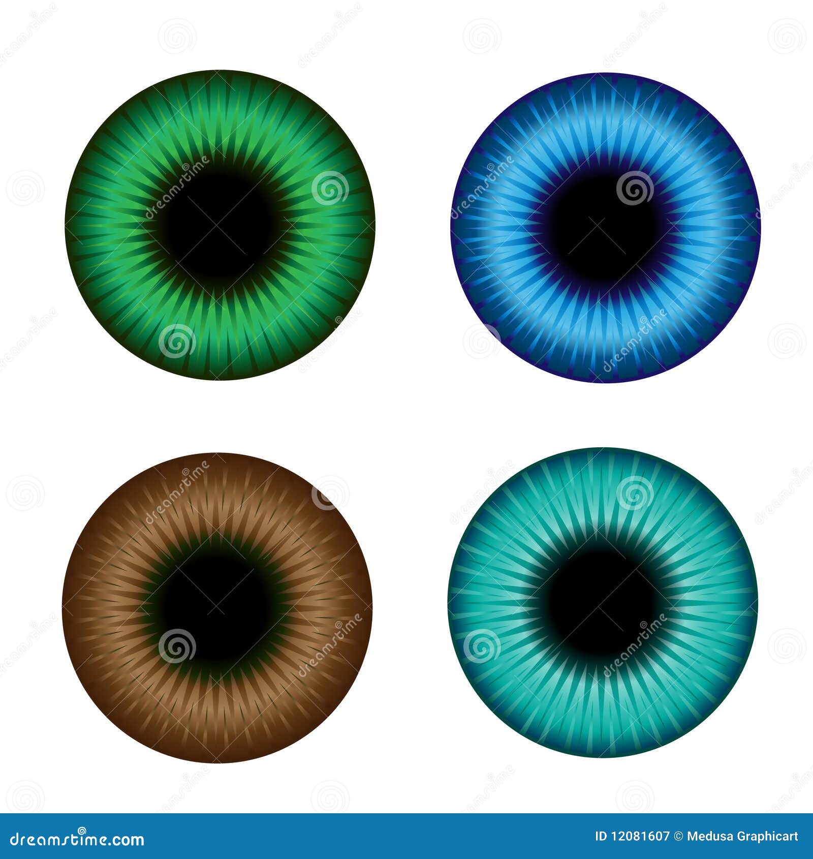 Color iris stock vector. Illustration of vector, detail - 12081607