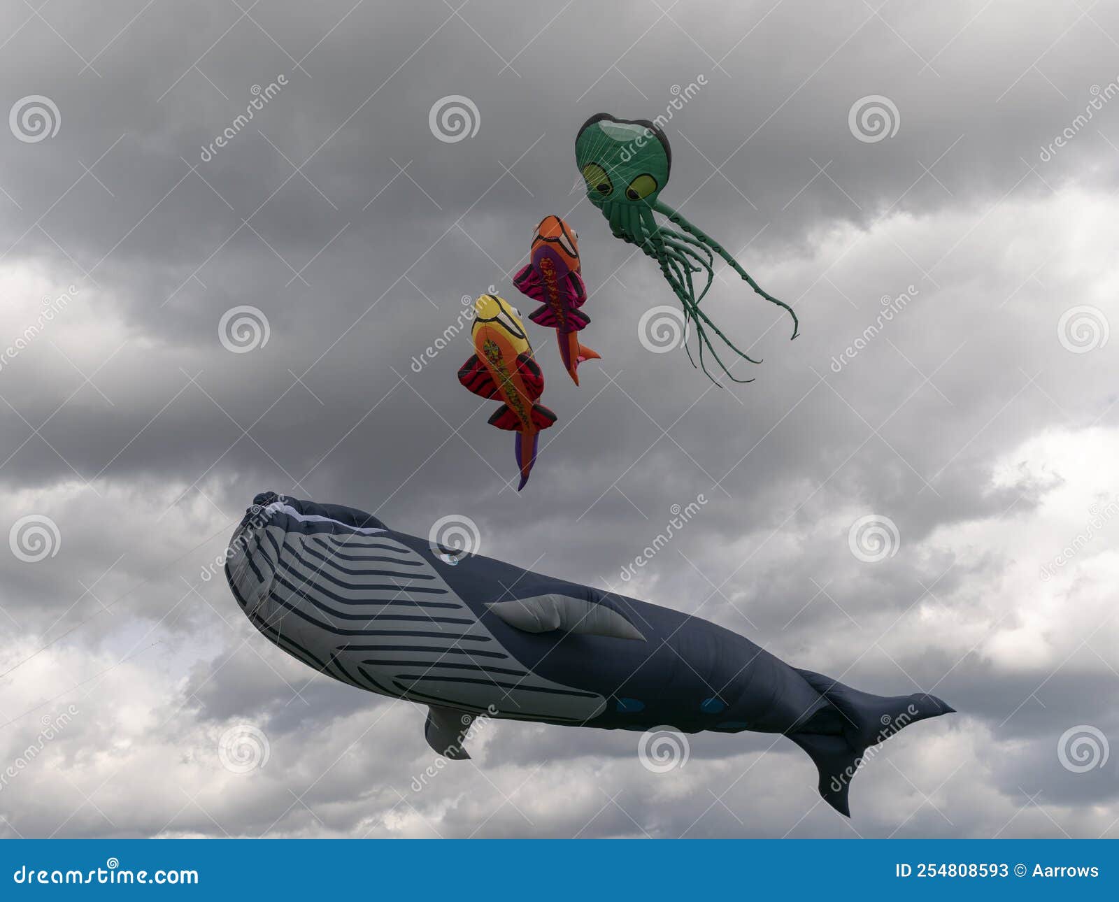 Color Kite Soaring in the Sky Stock Image - Image of cloud, festival ...