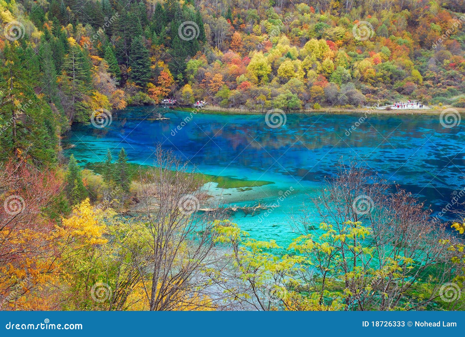Color Lake stock image. Image of color, grass, travel - 18726333
