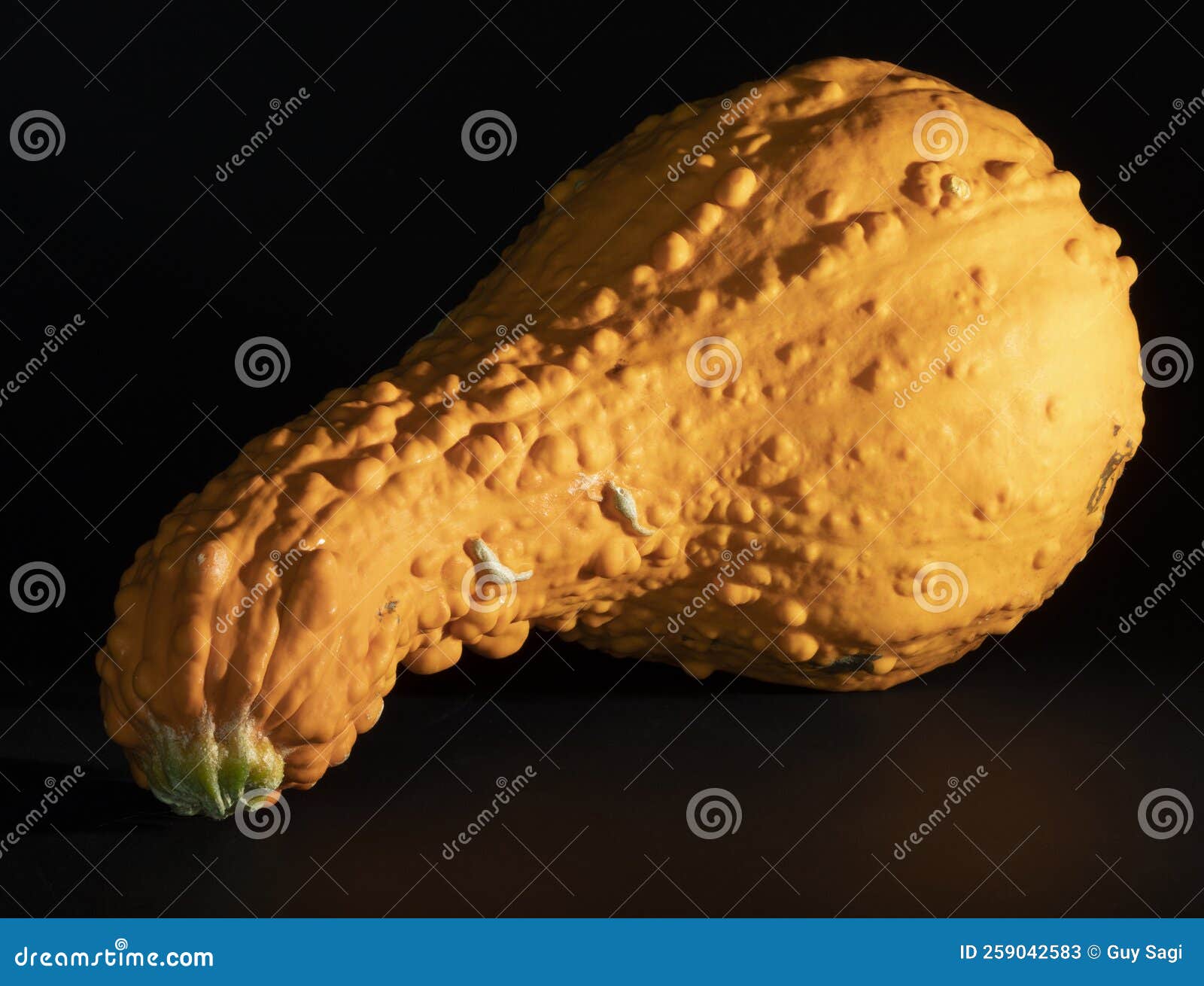 Color from a Large Yellow Squash Reflecting on a Dark Background Stock ...
