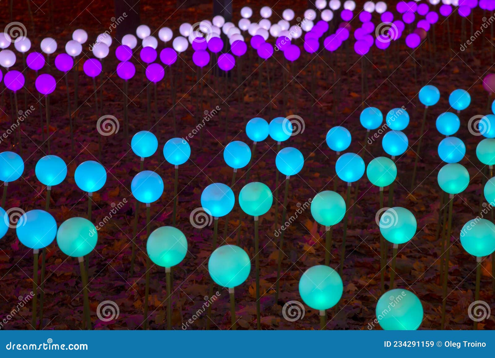 Color LED Illumination in the Park Stock Image - Image of decorative ...