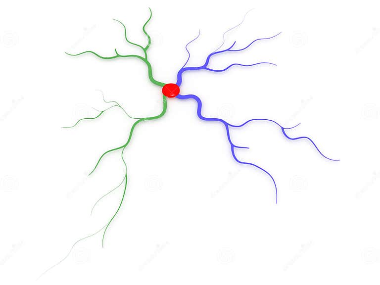 Color map of the mind #2 stock illustration. Illustration of axon ...