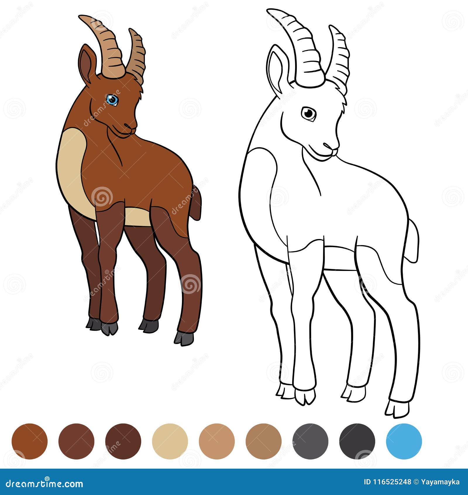 Color Me: Ibex. Little Cute Ibex. Stock Vector - Illustration of ...
