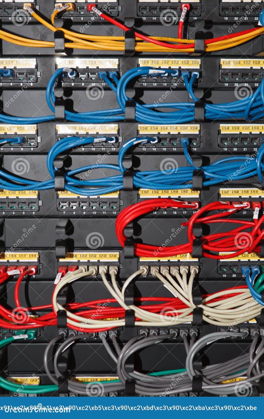 Color network cables stock photo. Image of ethernet, plug - 53588530