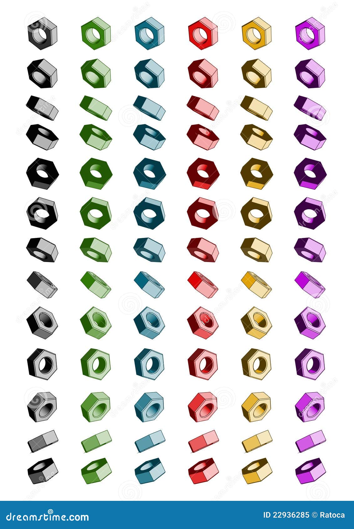 Color nut stock vector. Illustration of color, development - 22936285