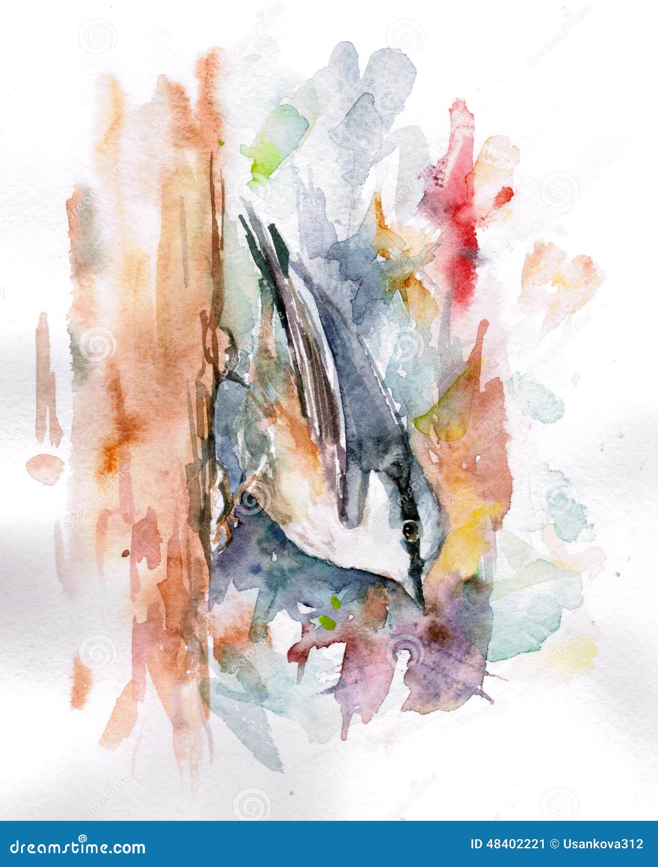 Color Nuthatch Royalty-Free Stock Photography | CartoonDealer.com #48402221