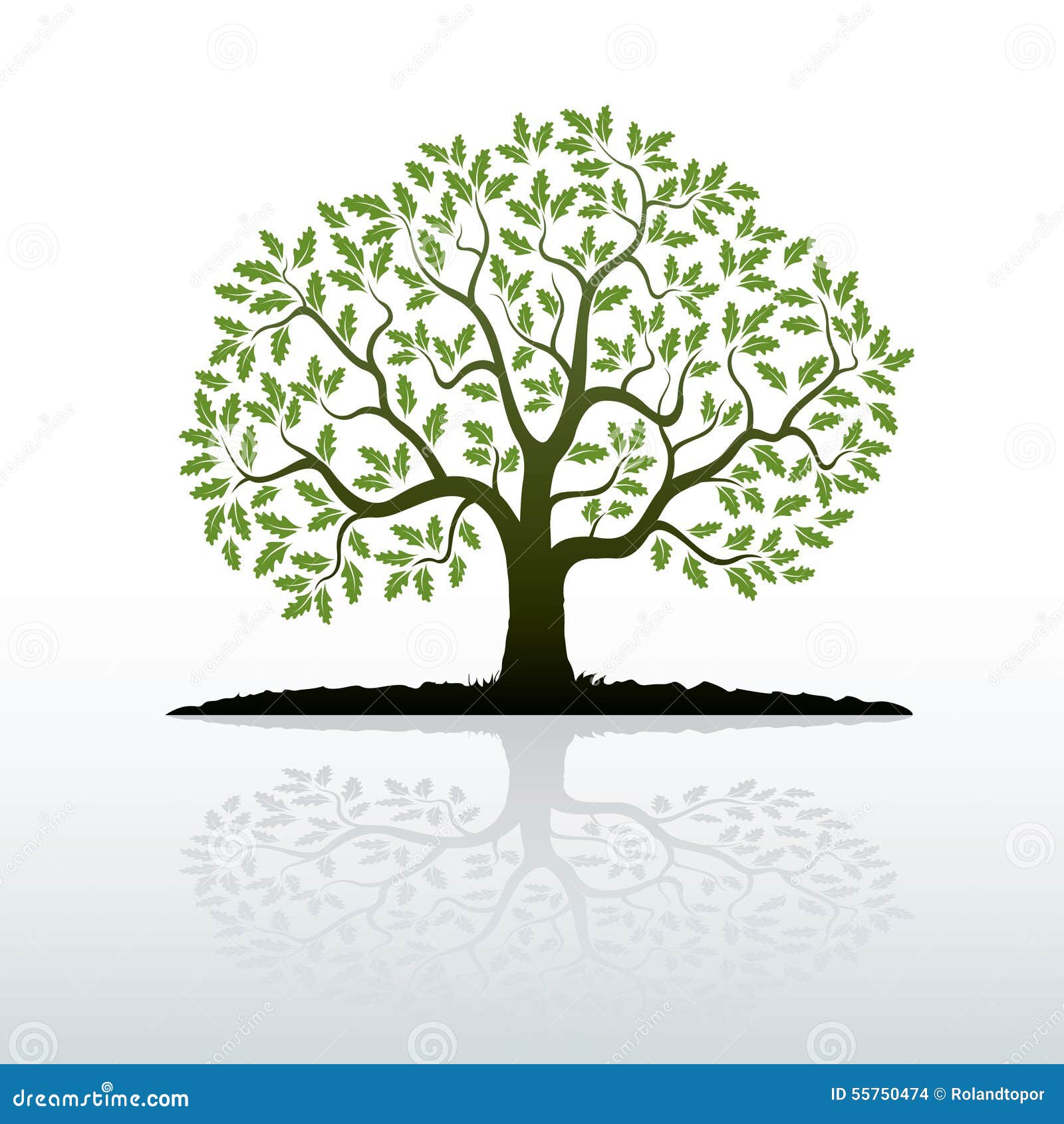 Color Oak Tree stock illustration. Illustration of nature - 55750474