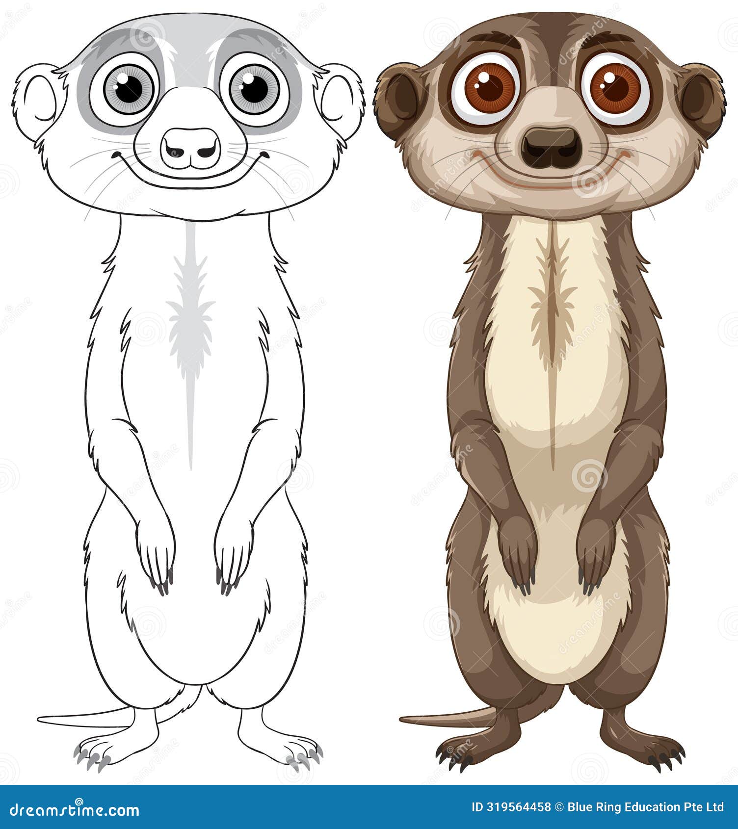 Color and Outline a Meerkat Stock Vector - Illustration of furry ...