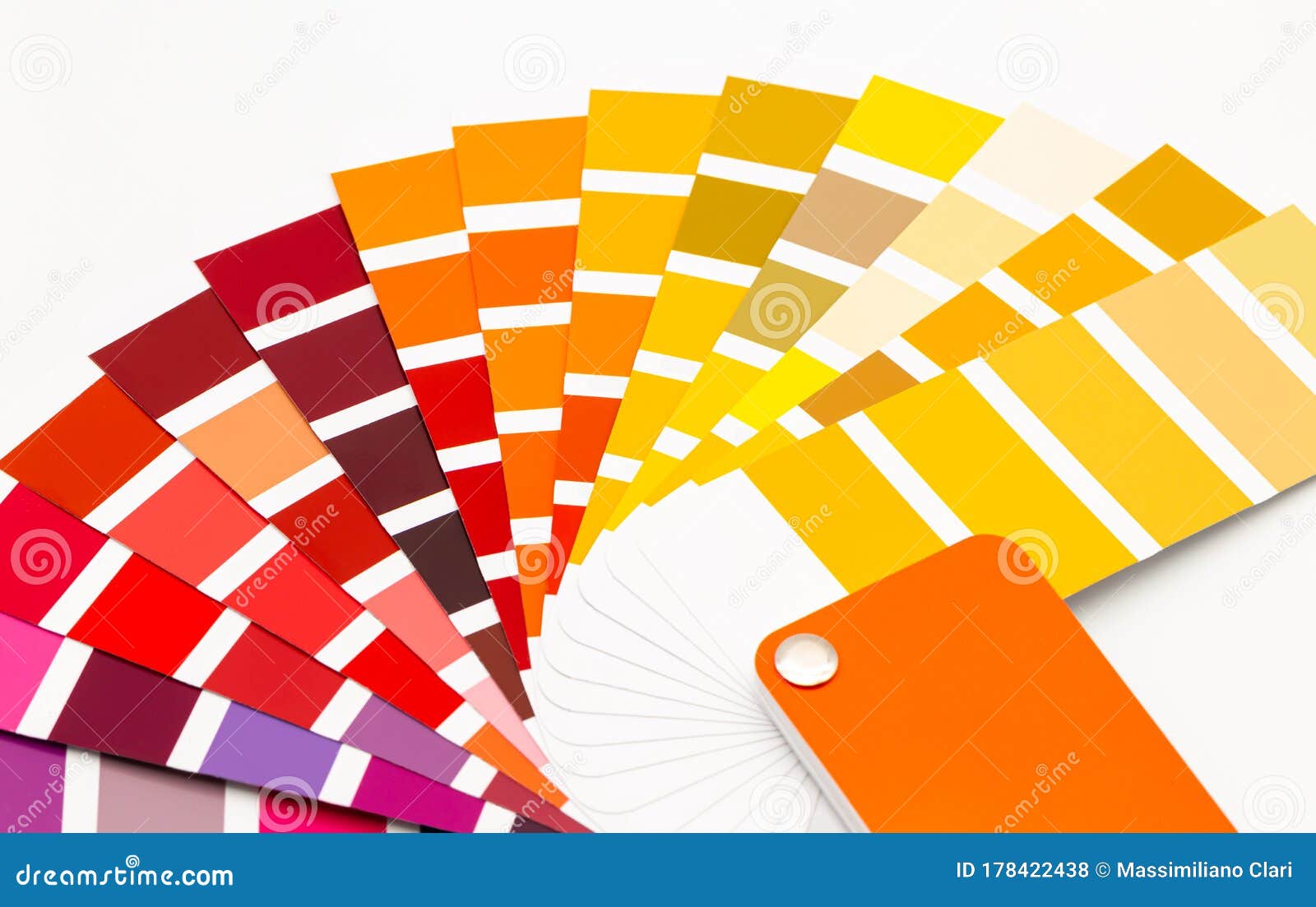 Color Palette Guide on White Background Stock Illustration ...