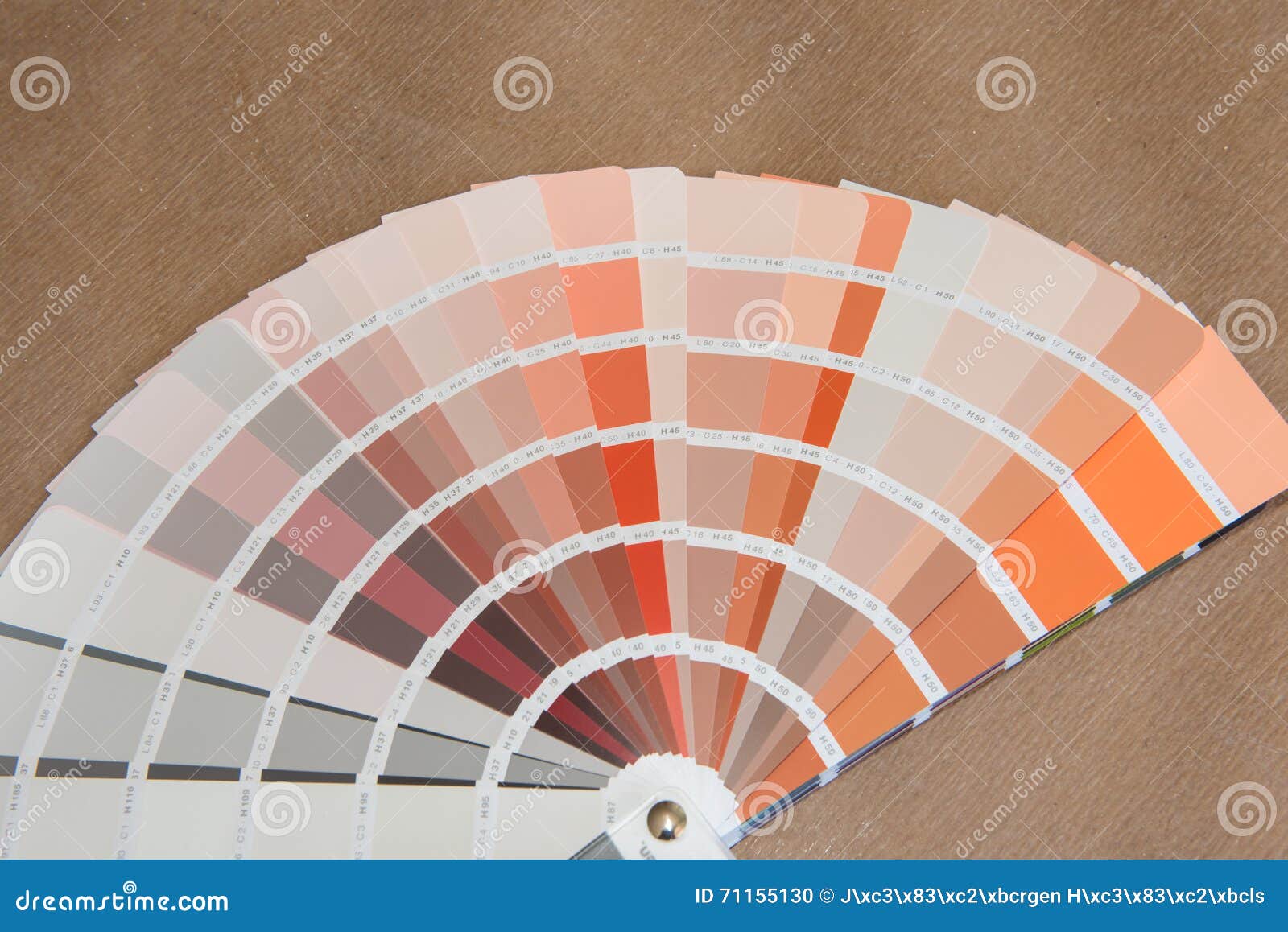 Color Palette Lying on the Ground To Choose from for Renovation Stock ...