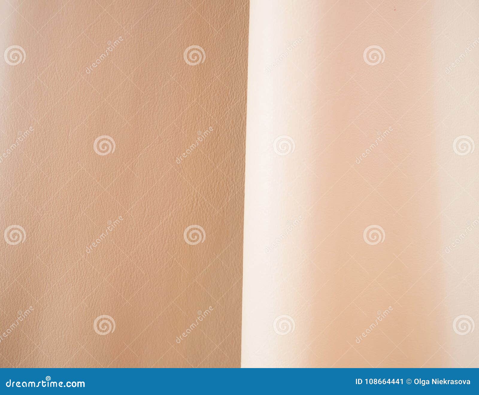 Color Palette Sample of Leather Material. Stock Image - Image of ...