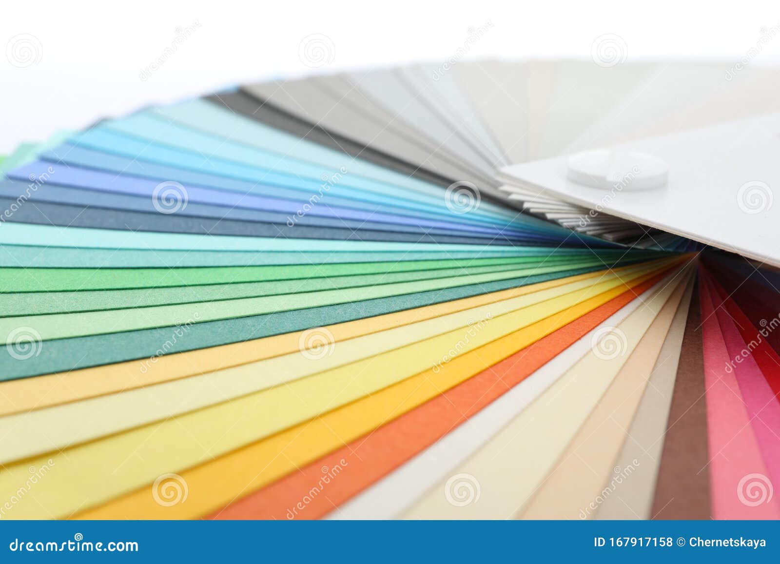 Color Palette Samples on White Background Stock Photo - Image of ...