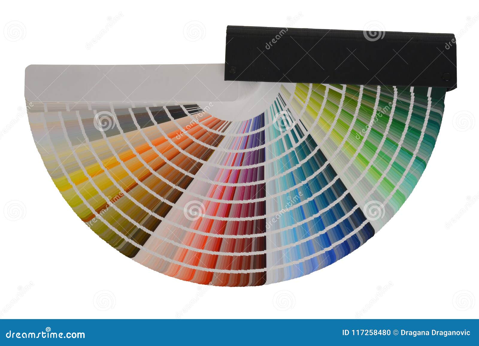 Color Palette with Various Samples Stock Illustration - Illustration of ...