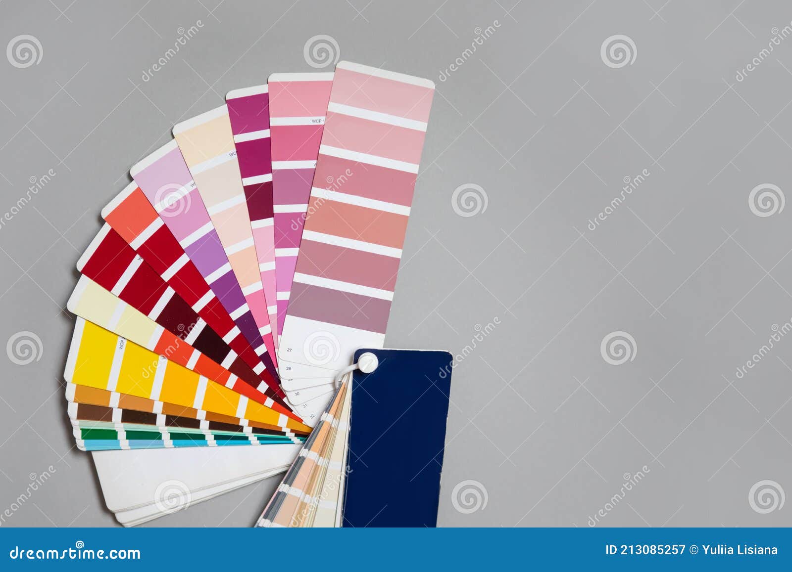 Color Palette with Various Samples. Grey Background. Paint Selection ...