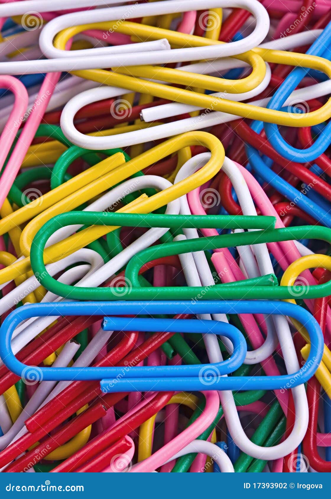 Color paper clips stock photo. Image of paperclip, group - 17393902