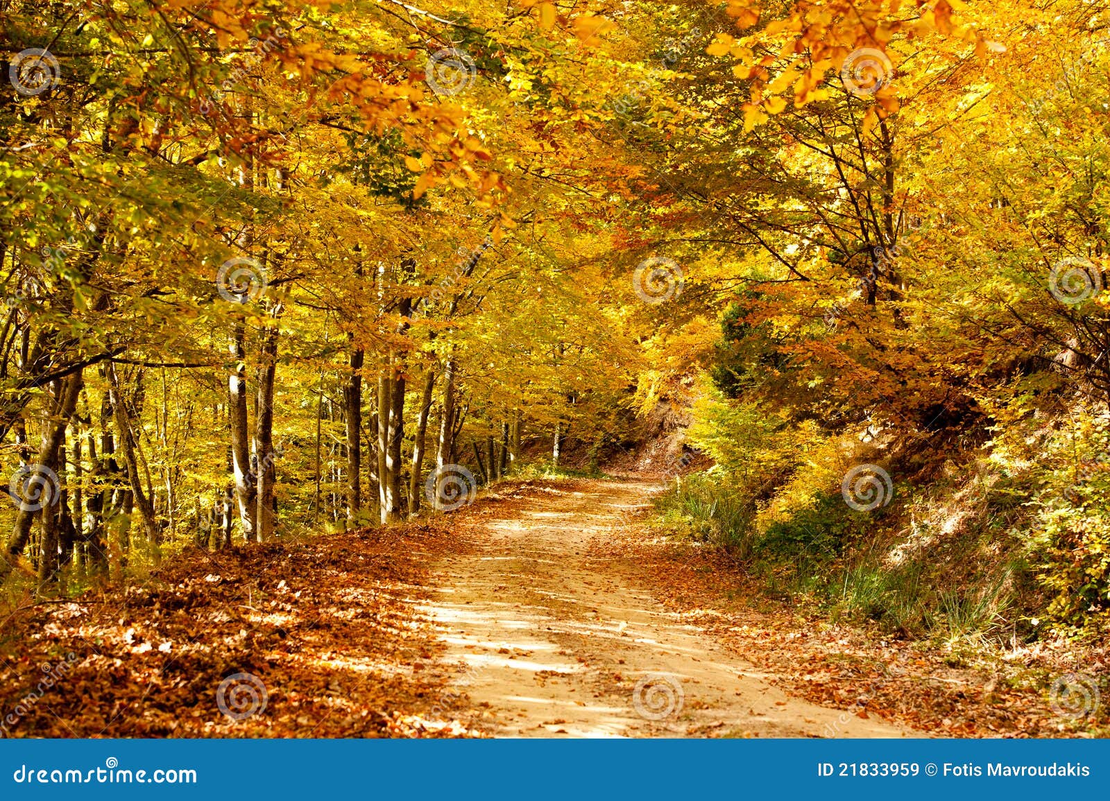 Color path stock image. Image of color, landscape, colorful - 21833959