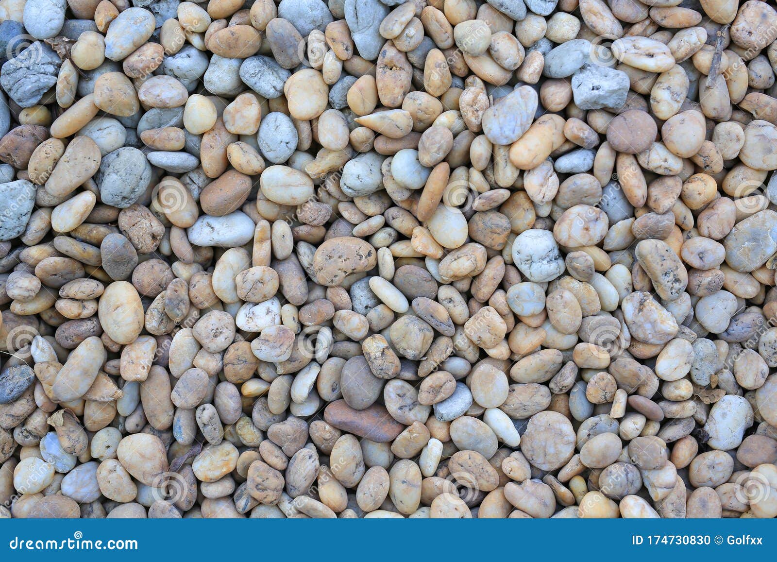 Color Pebble Stone on Ground for Texture Background Stock Photo - Image ...